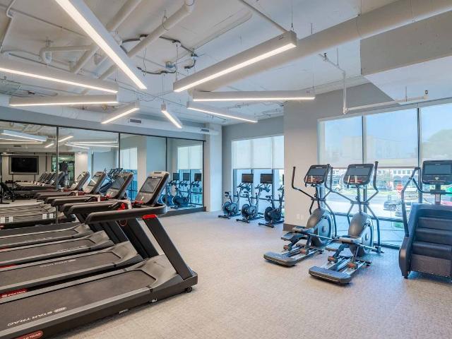 The Ace 2 Bedroom Apartment for Rent at 1201 N Arthur Ashe Blvd, Richmond, VA 23230 Museums