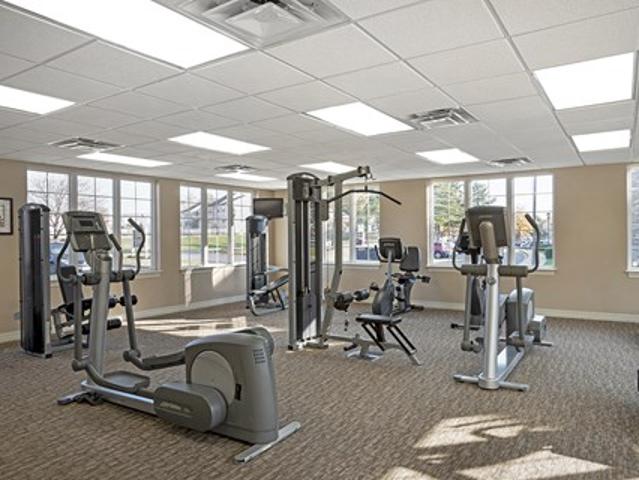 The Apartments at Elmwood Terrace 1BR 1BA 780sf