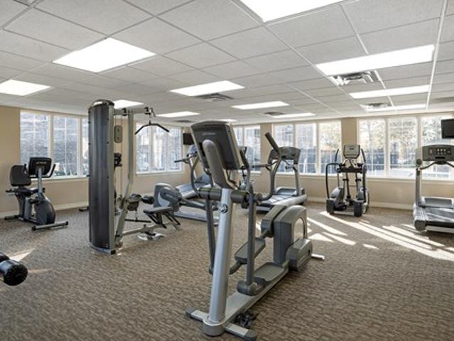The Apartments at Elmwood Terrace 1BR 1BA 800sf