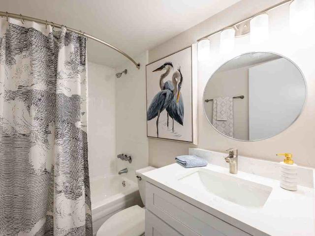 The Artisan Apartments 2 Bedroom Apartment for Rent at 310 S Nova Rd, Daytona Beach, FL 32114