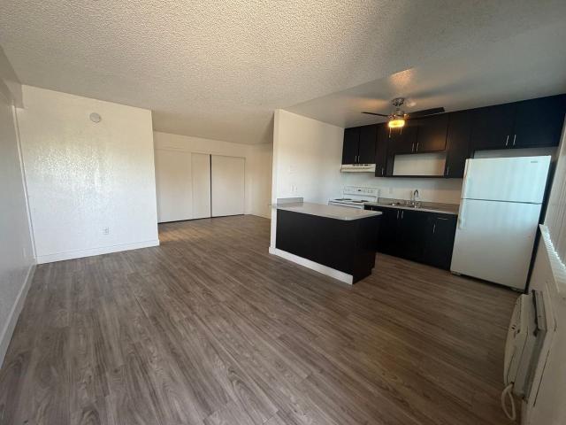 The Arlo 1 Bedroom Apartment for Rent at 5737 Angelina Ave, Carmichael, CA 95608