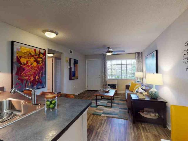 The Ava Apartments 1 Bedroom Apartment for Rent at 4902 N Macdill Ave, Tampa, FL 33614 Plaza Terrace