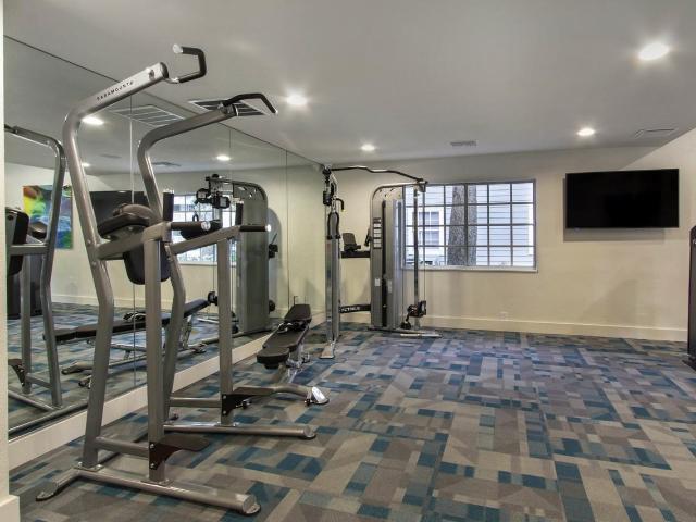 The Ava Apartments 1 Bedroom Apartment for Rent at 4902 N Macdill Ave, Tampa, FL 33614 Plaza Terrace