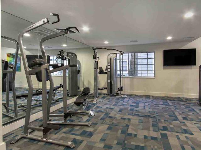 The Ava Apartments 1 Bedroom Apartment for Rent at 4902 N Macdill Ave, Tampa, FL 33614 Plaza Terrace