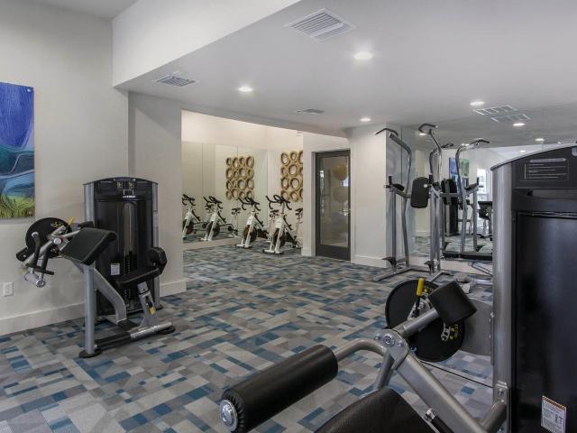 The Ava Apartments 1 Bedroom Apartment for Rent at 4902 N Macdill Ave, Tampa, FL 33614 Plaza Terrace