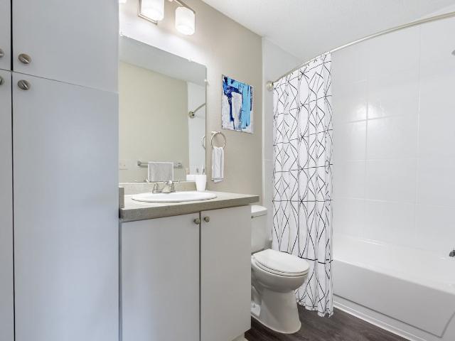 The Ava Apartments 2 Bedroom Apartment for Rent at 4902 N Macdill Ave, Tampa, FL 33614 Plaza Terrace
