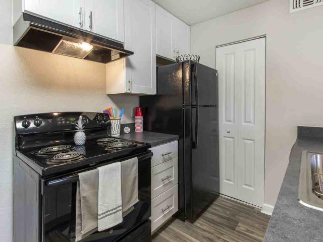 The Ava Apartments 2 Bedroom Apartment for Rent at 4902 N Macdill Ave, Tampa, FL 33614 Plaza Terrace
