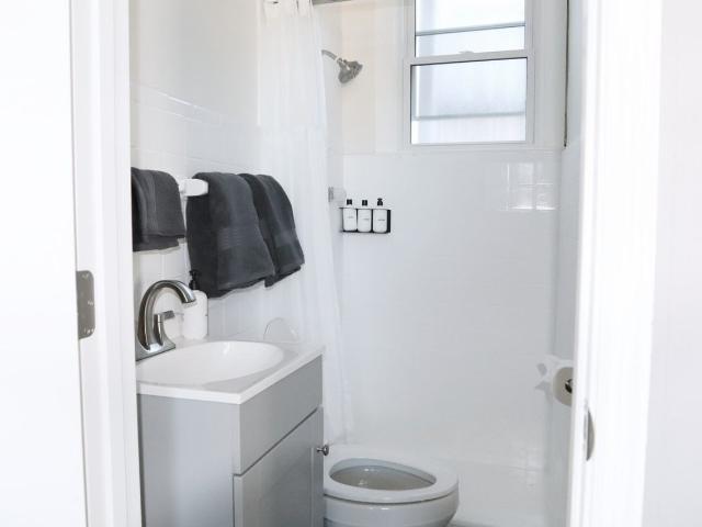 The Ave Nashville 1 Bedroom Apartment for Rent at 3230 Clarksville Pike, Nashville, TN 37218 Bordeaux Area