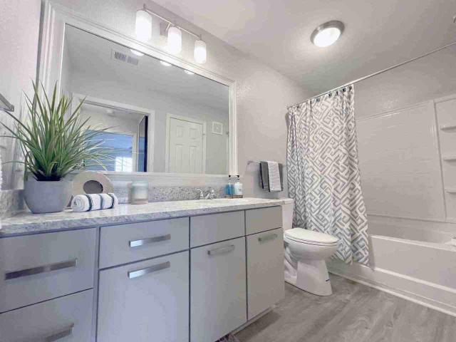 The Aventine Greenville Apartment Homes 1 Bedroom Apartment for Rent at 97 Market Point Dr, Greenville, SC 29607 Pleasantburg