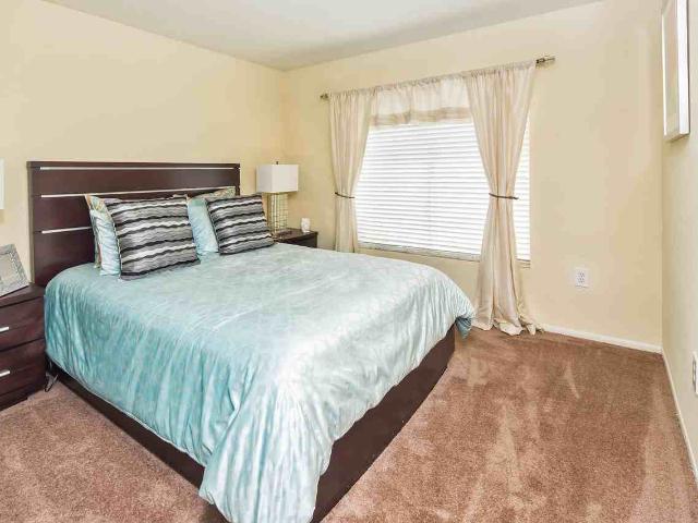 The Bahia Apartments 3 Bedroom Apartment for Rent at 2902 Sycamore Ct, Tampa, FL 33613