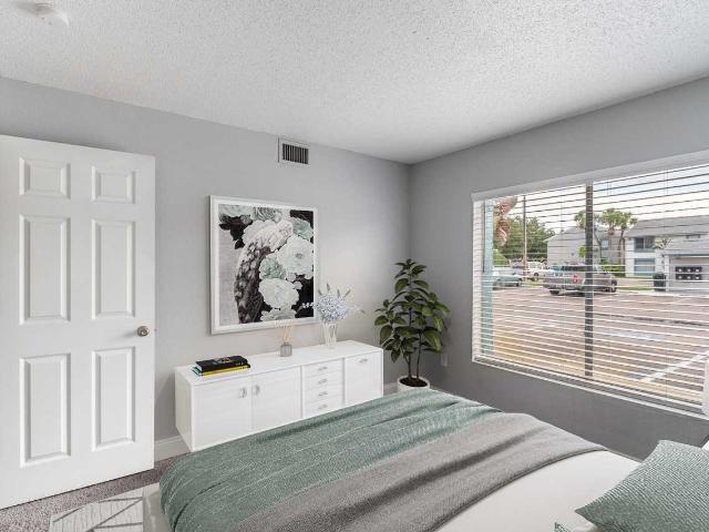 The Bahia Apartments Studio Apartment for Rent at 2902 Sycamore Ct, Tampa, FL 33613