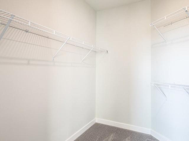 The Bella at Westchester 1 Bedroom Apartment for Rent at 700 City View Loop, Midlothian, VA 23113