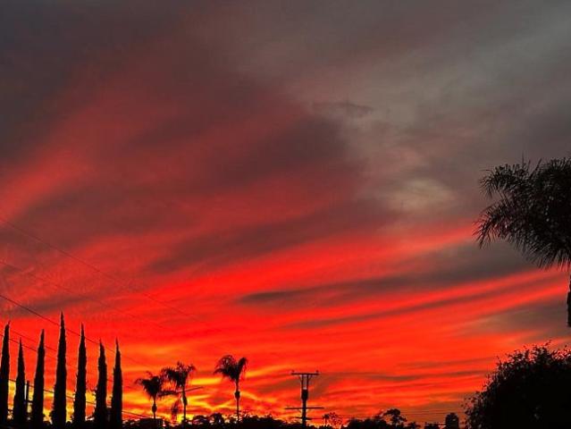The BEST of North Park Living!