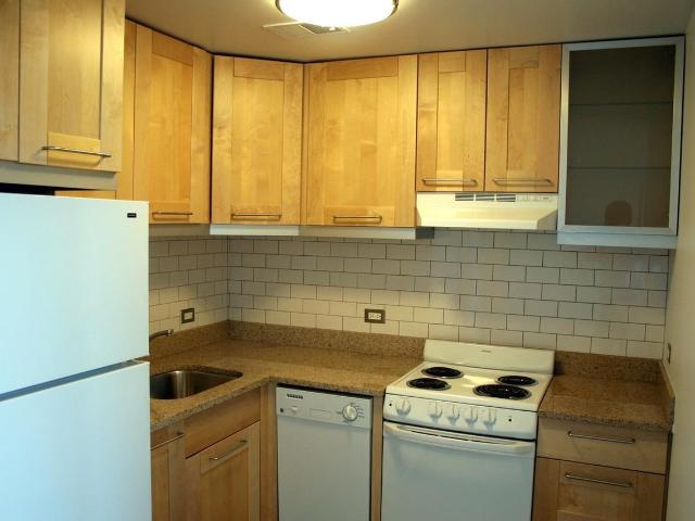 The Blackwood 2 Bedroom Apartment for Rent at 5200 S Blackstone Ave, Chicago, IL 60615 Hyde Park