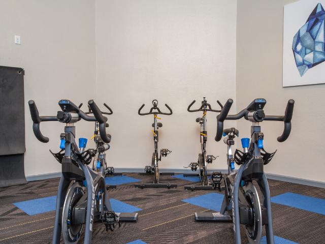 The Brixton Apartments 2 Bedroom Apartment for Rent at 18959 Dallas Pkwy, Dallas, TX 75287