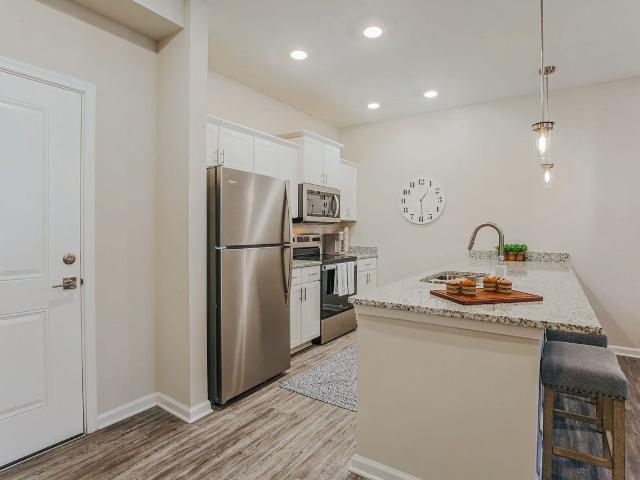 The Gallery at Godwin 3 Bedroom Apartment for Rent at 3061 Godwin Blvd, Suffolk, VA 23434