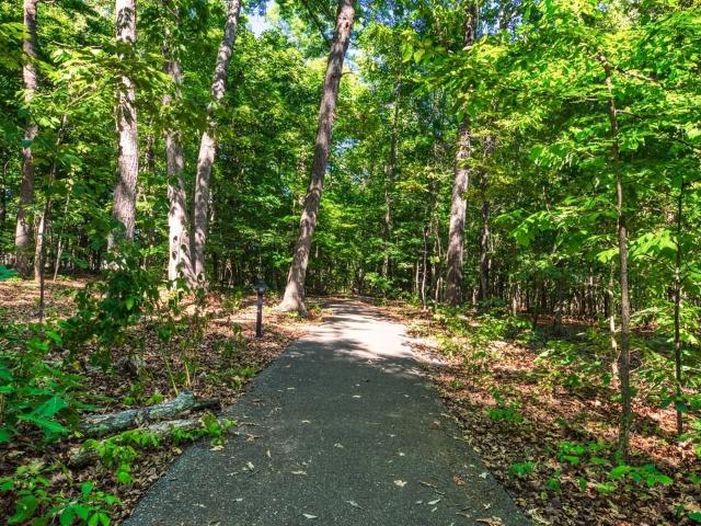 The Gardens on Timberlake 2 Bedroom Apartment for Rent at 240 Beverly Hills Cir, Lynchburg, VA 24502