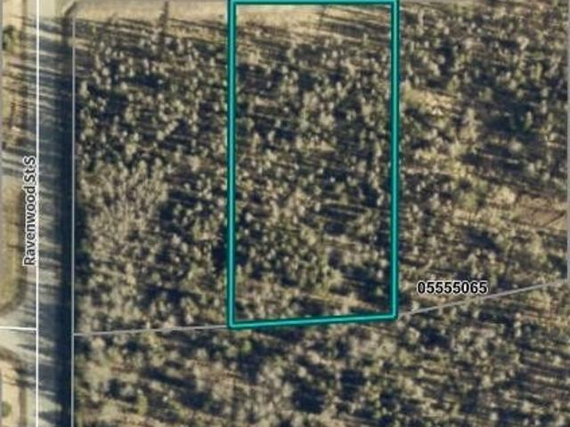 The Greatest Loop Lot 25, Soldotna, AK 99669
