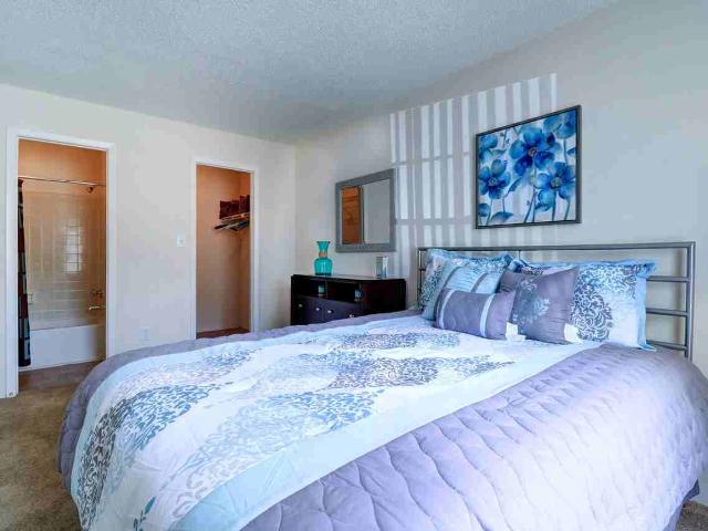 The Grove Apartments 2 Bedroom Apartment for Rent at 13944 Sandy Hill Loop, Tampa, FL 33613