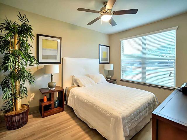 The Grove at Renwick 1 Bedroom Apartment for Rent at 6909 Renwick Dr, Houston, TX 77081 Gulfton
