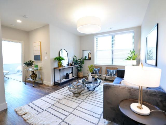 The Dorze 2 Bedroom Apartment for Rent at 415 De Baliviere Ave, St. Louis, MO 63112 Skinker DeBaliviere