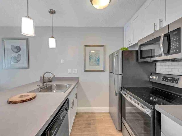 The Delmar Studio Apartment for Rent at 4003 S West Shore Blvd, Tampa, FL 33611 Bayside West