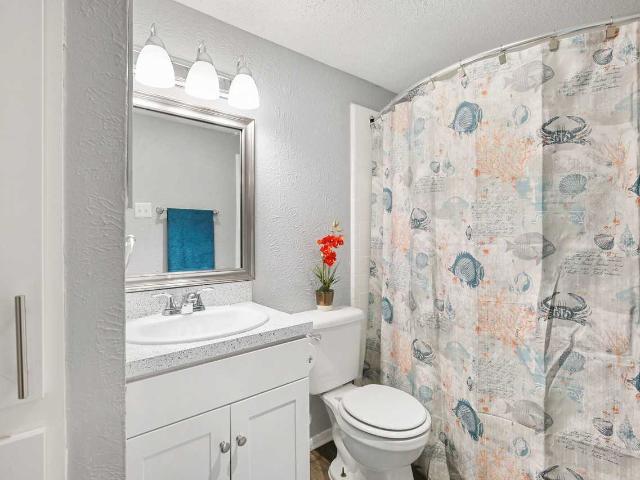 The District on Collins 1 Bedroom Apartment for Rent at 2910 S Collins St, Arlington, TX 76014