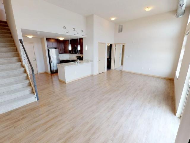The Dude Abodes 2 Bedroom Apartment for Rent at 902 Drake St, Madison, WI 53715 Greenbush