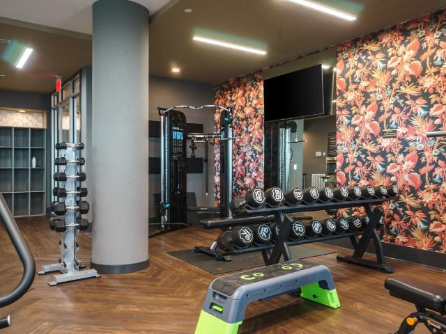 The Emerson at Rocky Point 1 Bedroom Apartment for Rent at 3015 N Rocky Point Dr E, Tampa, FL 33607