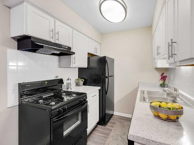 The Element 1 Bedroom Apartment for Rent at 1550 Dempster St, Mount Prospect, IL 60056