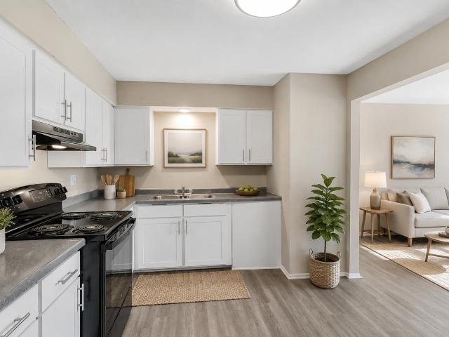 The Element 2 Bedroom Apartment for Rent at 1550 Dempster St, Mount Prospect, IL 60056