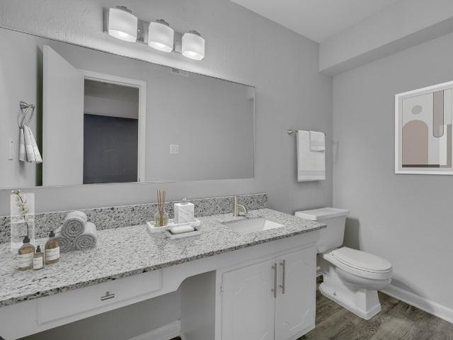 The Element Apartments 1 Bedroom Apartment for Rent at 1400 Wyldewood Road, Durham, NC 27704