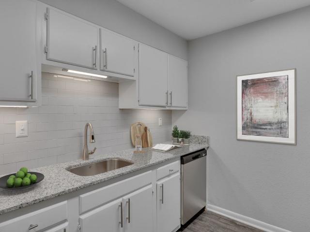 The Element Apartments 2 Bedroom Apartment for Rent at 1400 Wyldewood Road, Durham, NC 27704
