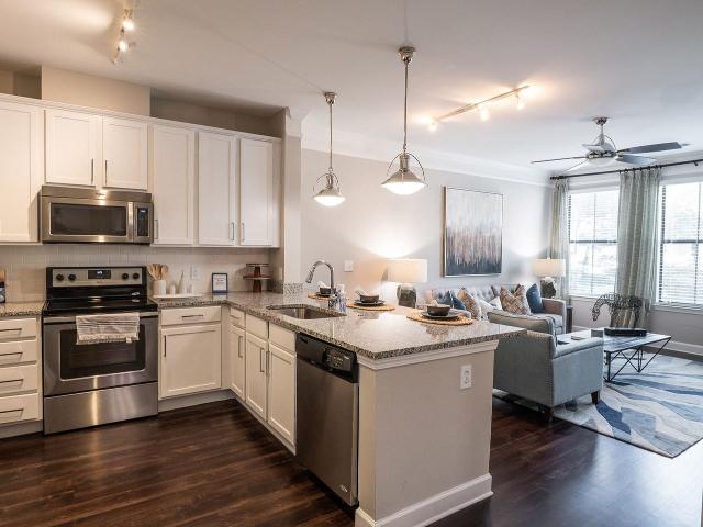 The Eliza on Collier 1 Bedroom Apartment for Rent at 1185 Collier Rd Nw, Atlanta, GA 30318 Underwood Hills