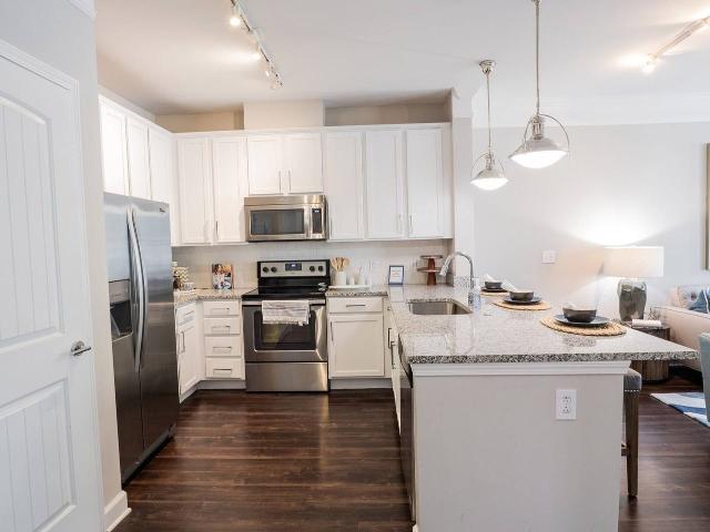The Eliza on Collier 2 Bedroom Apartment for Rent at 1185 Collier Rd Nw, Atlanta, GA 30318 Underwood Hills