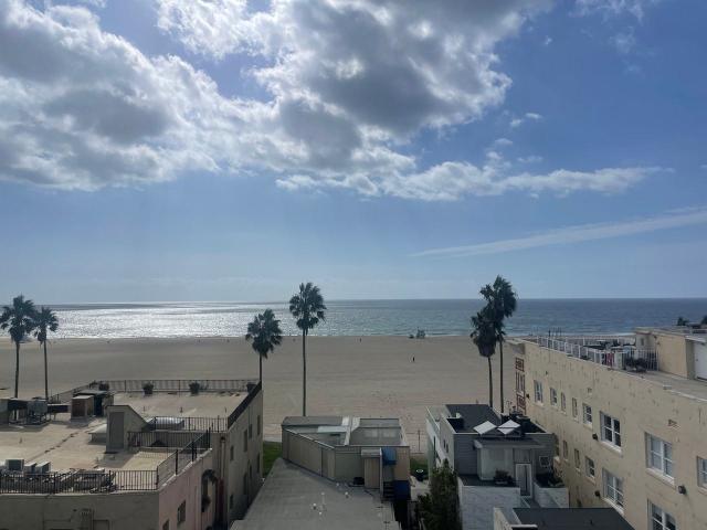 The Ellison 1 Bedroom Apartment for Rent at 15 Paloma Ave, Los Angeles, CA 90291 Venice