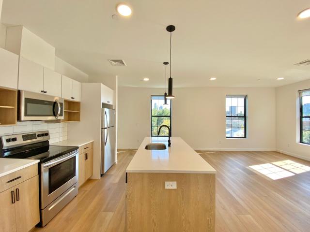 The Elm at 104 Howe St!