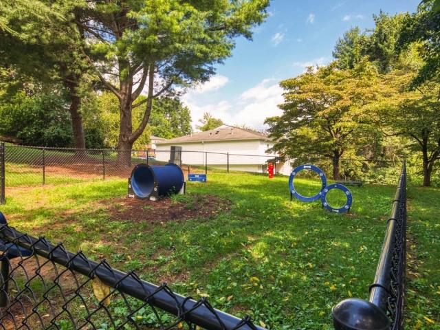 The Everett 2 Bedroom Apartment for Rent at 4356 Garst Mill Rd, Cave Spring, VA 24018 Cave Spring