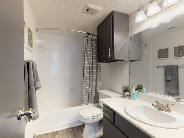 The Everly 1 Bedroom Apartment for Rent at 9350 Skillman St, Dallas, TX 75243