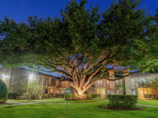 The Falls at Clear Lake 1 Bedroom Apartment for Rent at 801 E Nasa Pkwy, Houston, TX 77598 Clear Lake