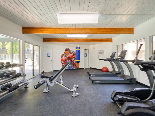The Harlow by Trion Living 1 Bedroom Apartment for Rent at 3220 Watt Ave, Sacramento, CA 95821