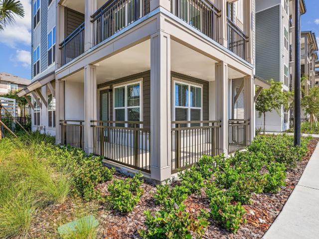 The Harlow 1 Bedroom Apartment for Rent at 5101 Bruce B Downs Blvd, Wesley Chapel, FL 33544