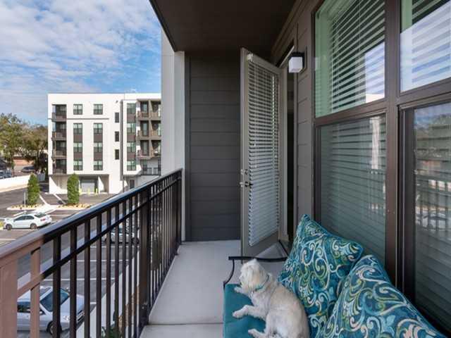 The Hite and Notch Apartments 1 Bedroom Apartment for Rent at 6307 N Nebraska Ave, Tampa, FL 33604 Old Seminole Heights