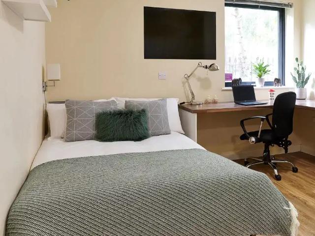 The Hub London Student Accommodation | Amber