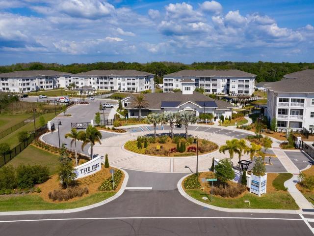 The Iris at Northpointe 1 Bedroom Apartment for Rent at 17000 Fountainside Loop, Lutz, FL 33558