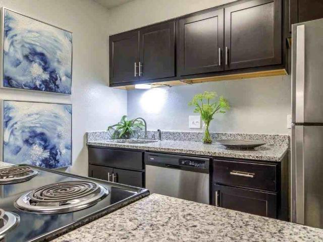 The Onyx Hoover Apartments 1 Bedroom Apartment for Rent at 990 Wisteria Pl, Hoover, AL 35216