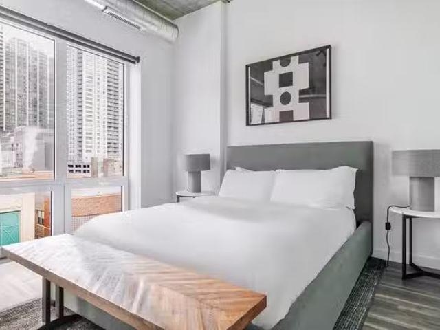 The Opal, 61 West Erie St, Near North Side Studio 1 Bath