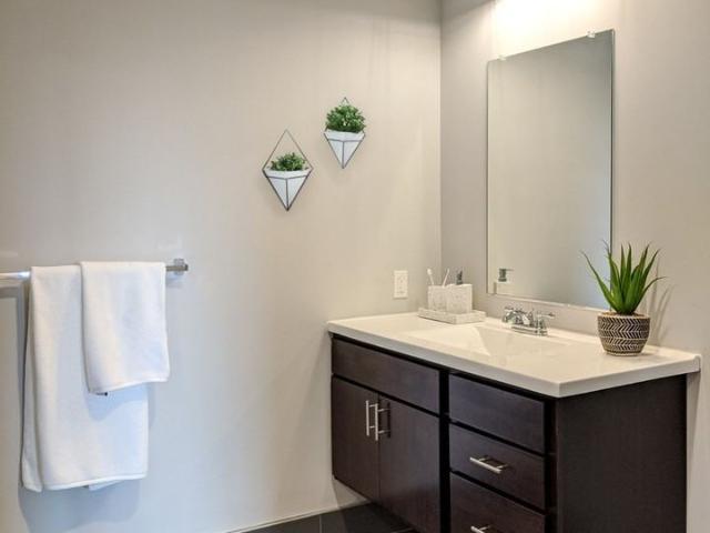 The Lofts at Frog Alley 1 Bedroom Apartment for Rent at 108 State St, Schenectady, NY 12305