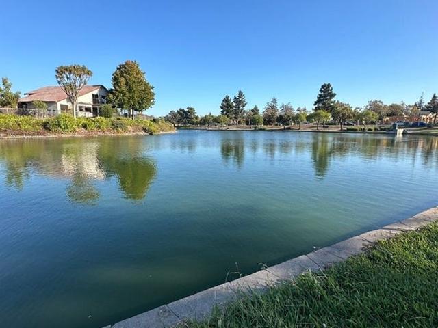 The Lake AreaNewark