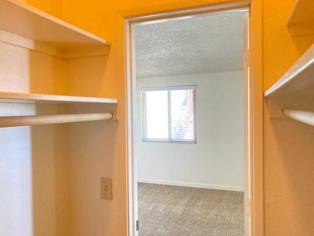 The Lakes Apartments 1 Bedroom Apartment for Rent at 5666 East Hampton Street, Tucson, AZ 85712